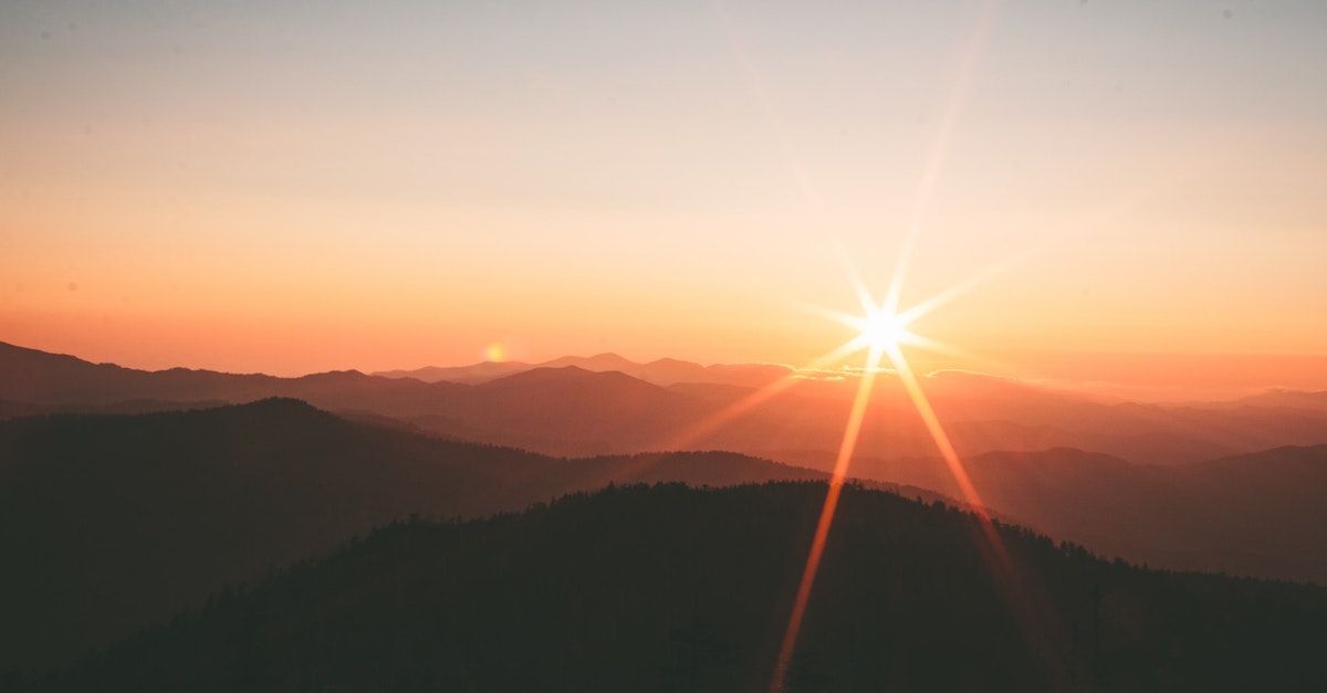 Solenergi: med solceller förvandlar du solenergi till el